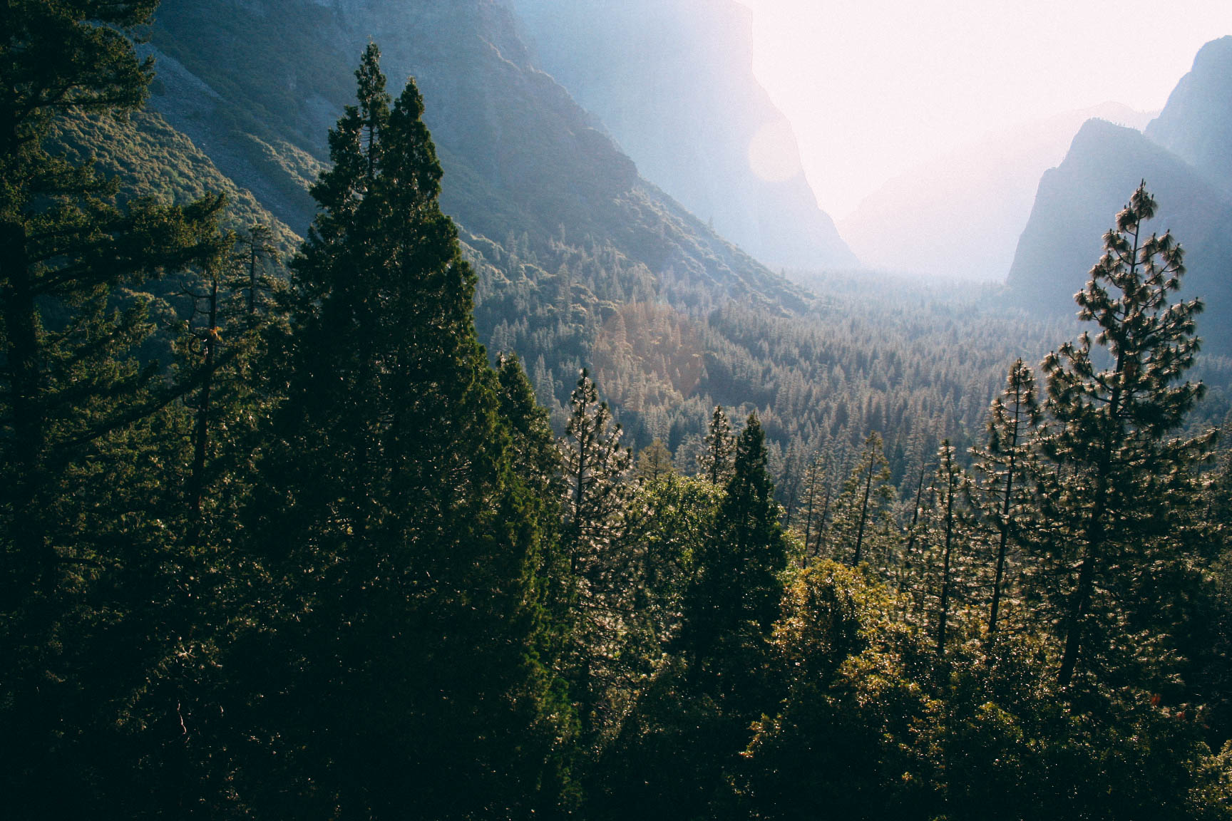 Exploring and Discovery Nature - Emiel Hakkenes